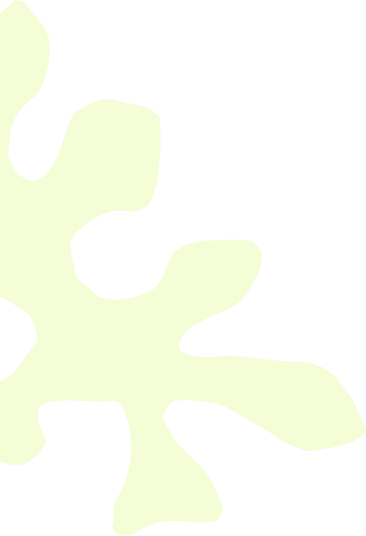 Size Guide – RIXO ⋆